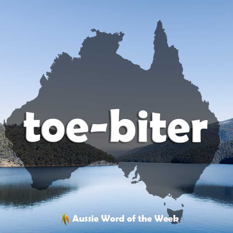The toe-biter – Macquarie