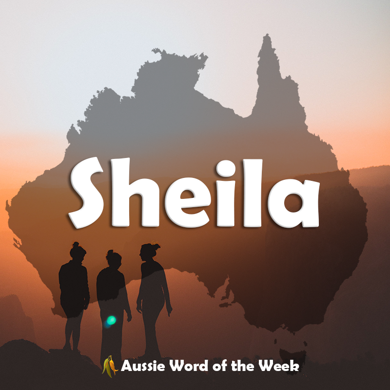 Here's to the Sheilas - Macquarie