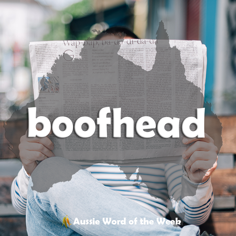 Read our Word of the Week ya boofhead – Macquarie